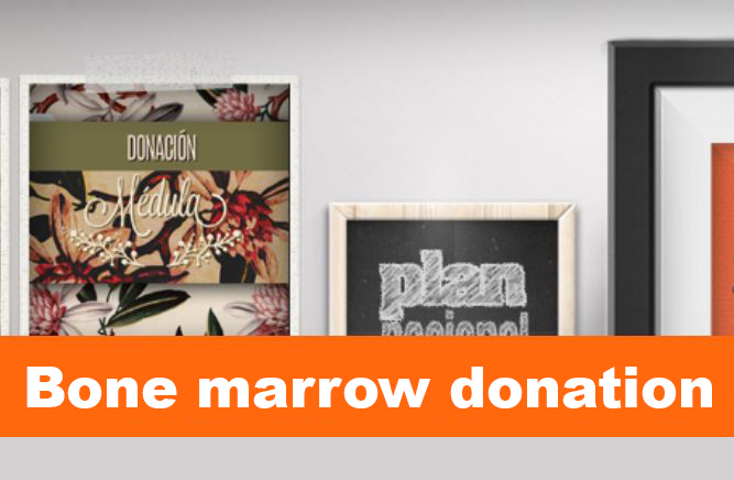 La Moncloa. 50% increase in bone marrow transplants over last decade in ...